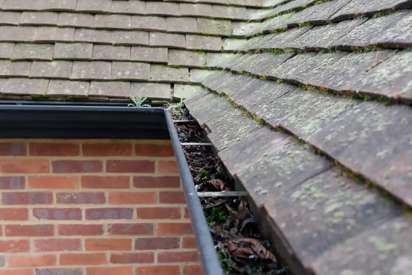 PP Gutters - Your Local Gutter Cleaning Experts, Buckingham